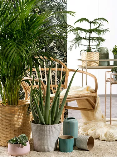 IKEA Santo Domingo - CHIAFRÖN maceta, blanco, Ø3 ½