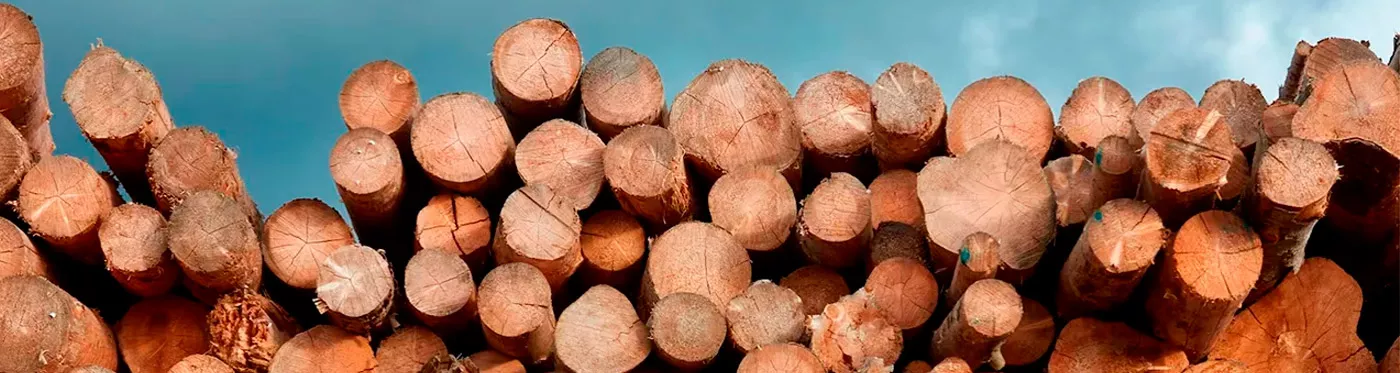 IKEA Santo Domingo - La madera, un material con muchas ventajas