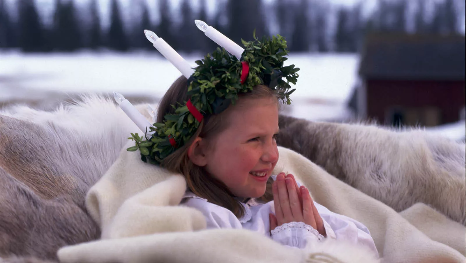 IKEA Santo Domingo - Santa Lucía, la fiesta sueca de la luz
