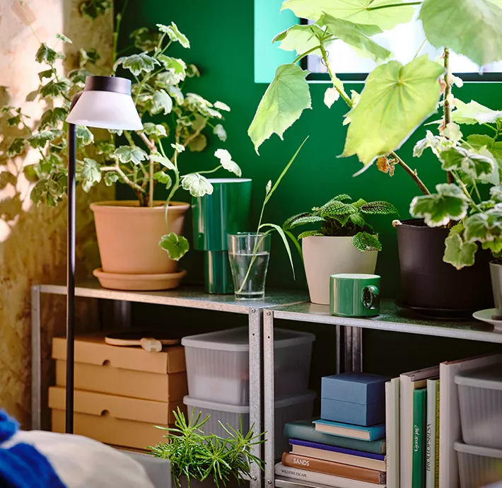 IKEA Santo Domingo - Tienda online de muebles y decoración